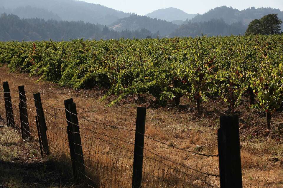 Sonoma County’s Sbragia Vineyards has closed and is for sale
