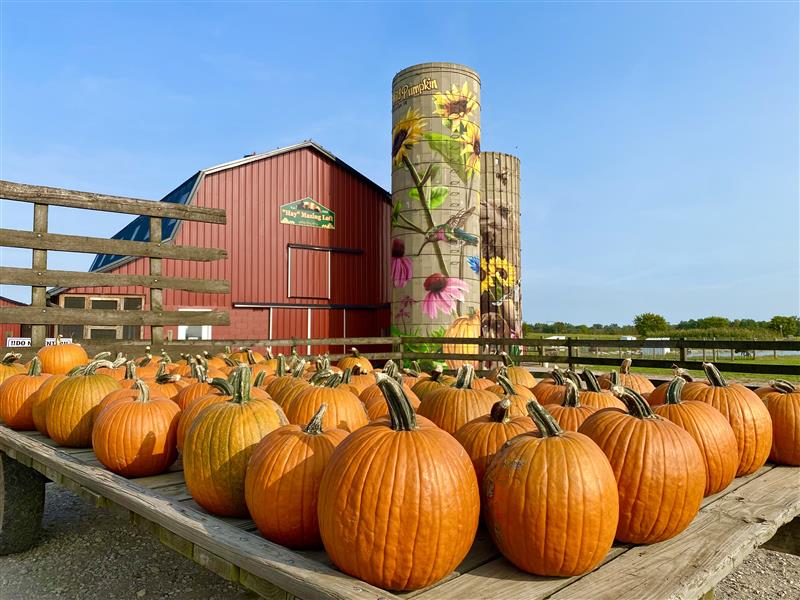 Midland fall and Halloween guide: Find events and fun