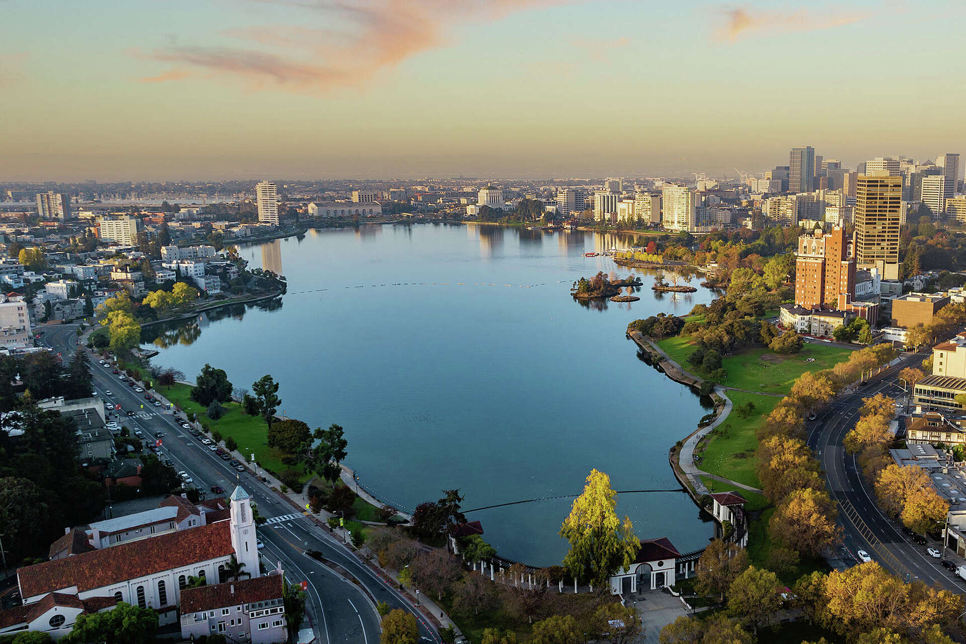 Rare, spectral animal seen climbing a wall near Oakland's Lake Merritt