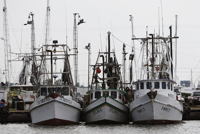 Shrimping