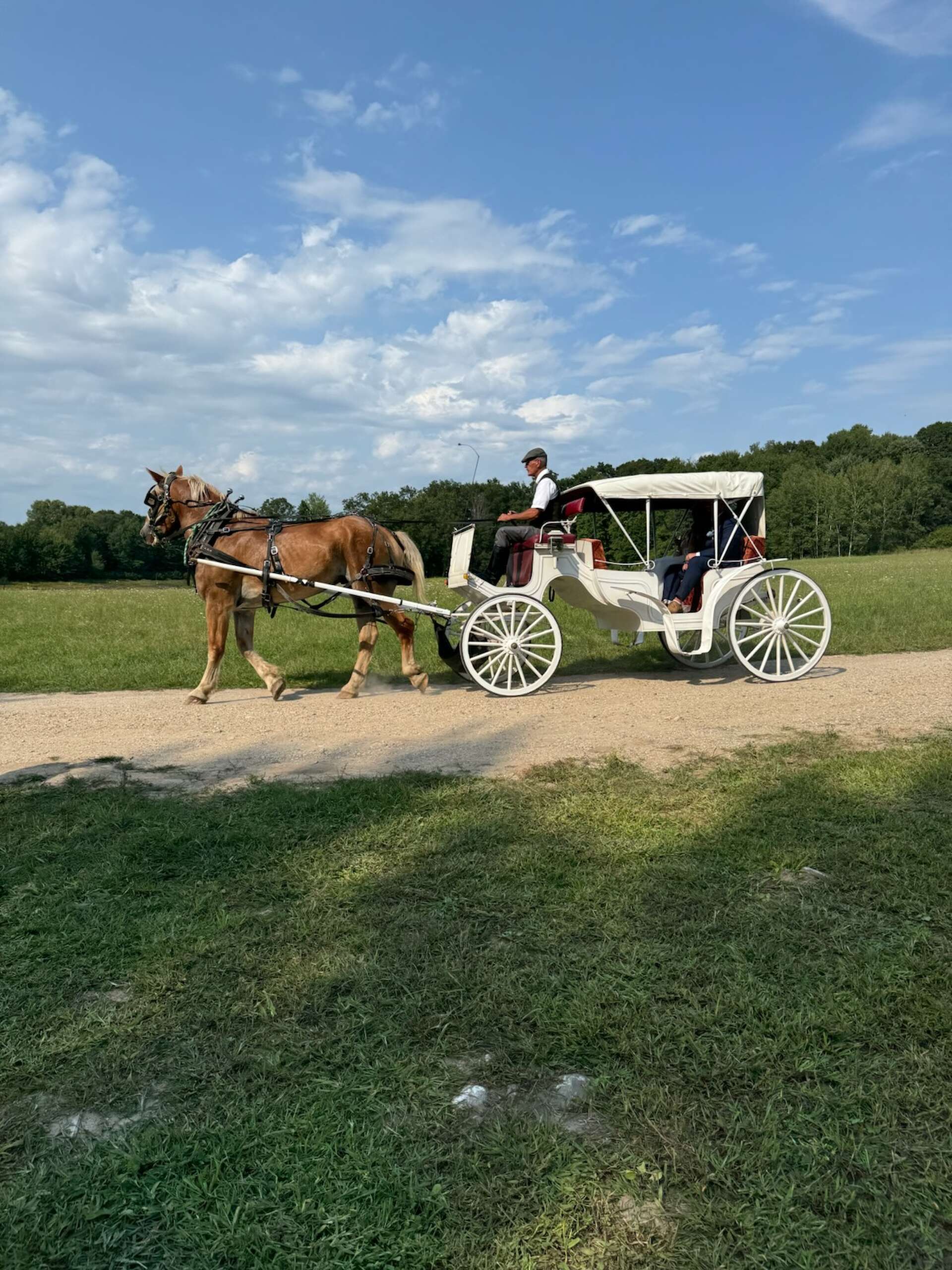 Four Green Fields Farm in Rodney opens wedding venue