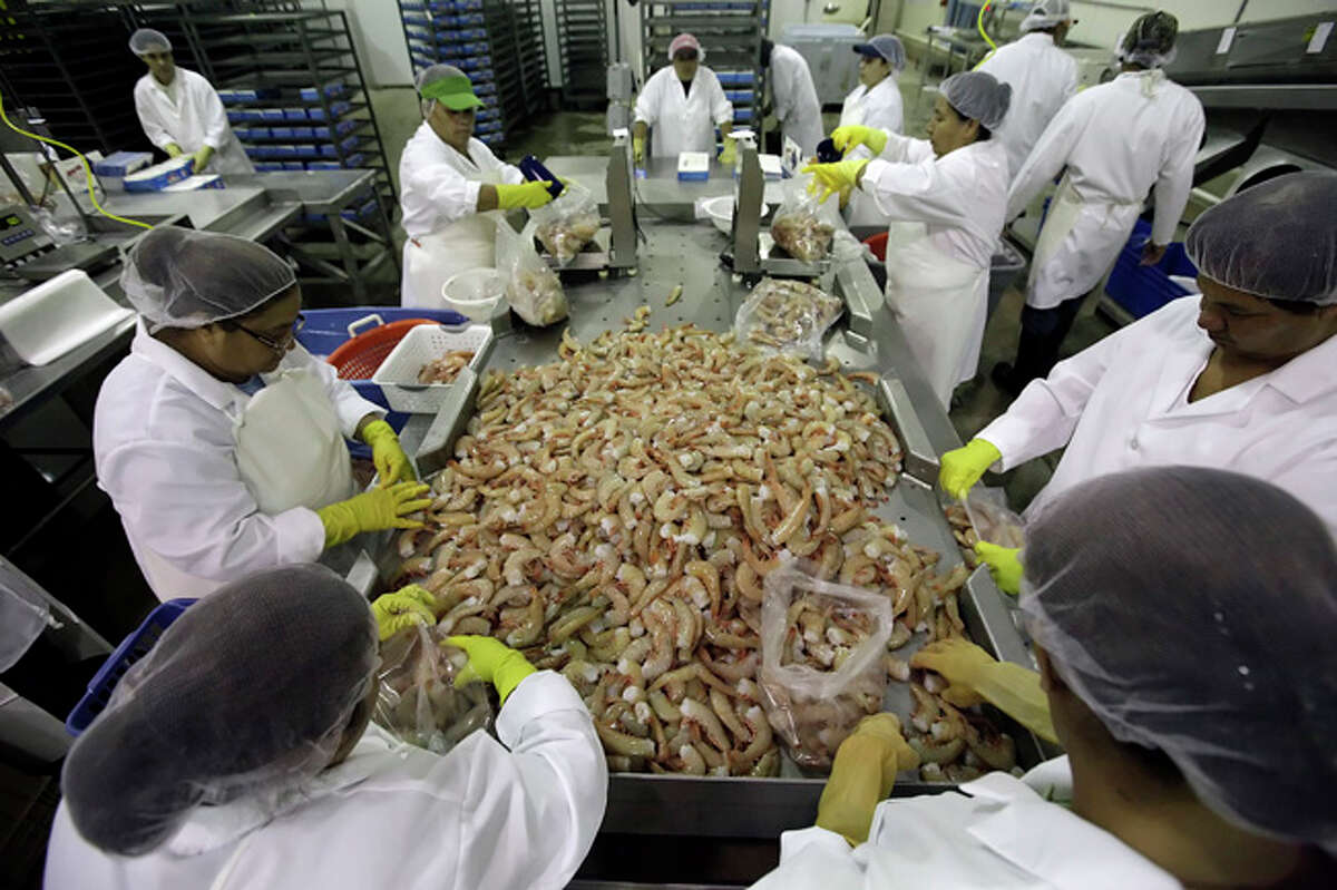 Shrimping