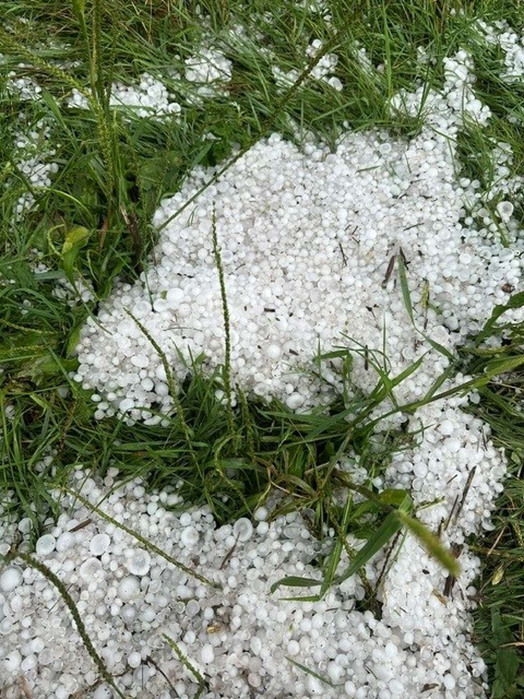 CT farmer headed to Washington D.C. after farm decimated by hail