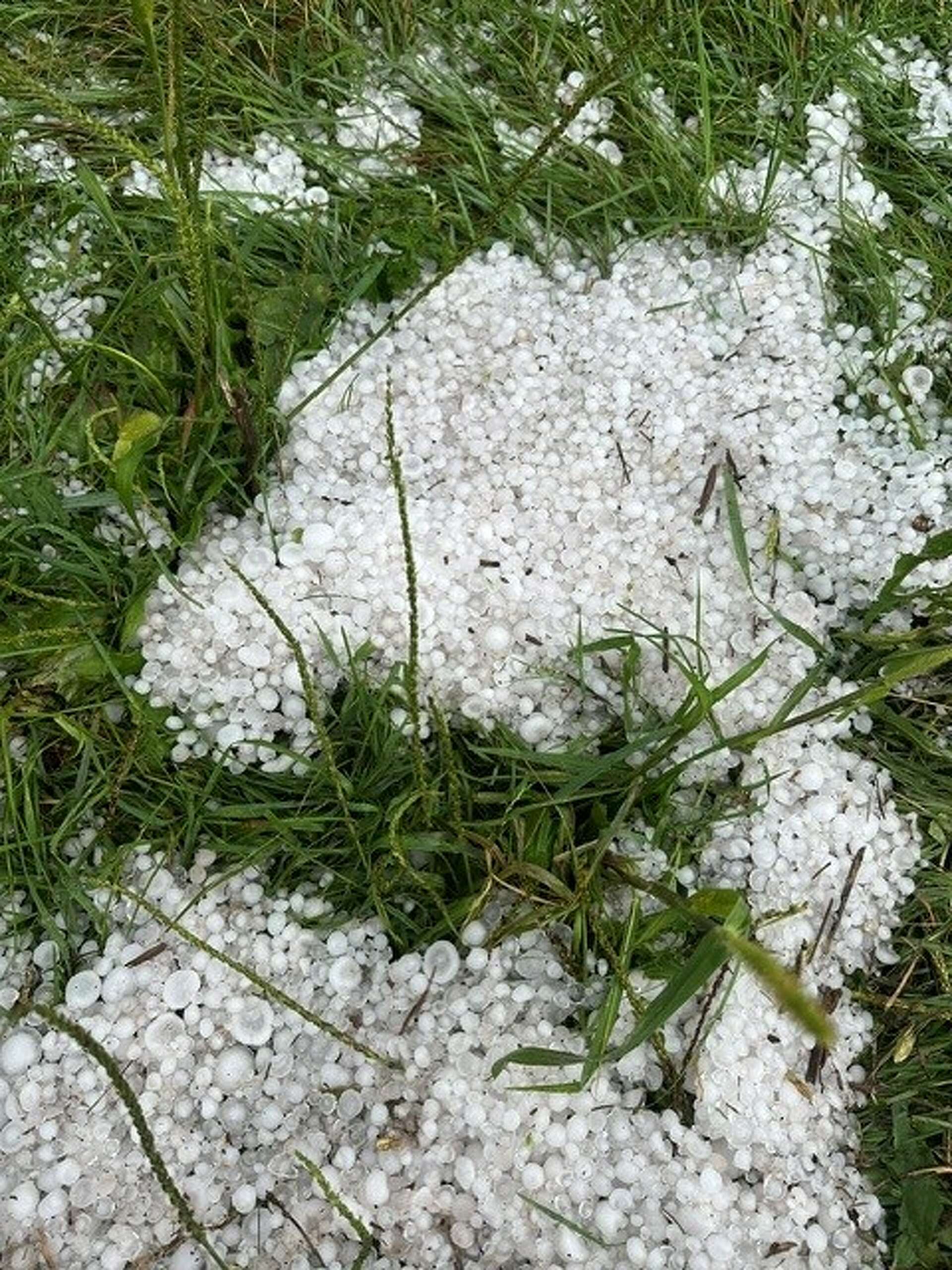 CT farmer headed to Washington D.C. after farm decimated by hail