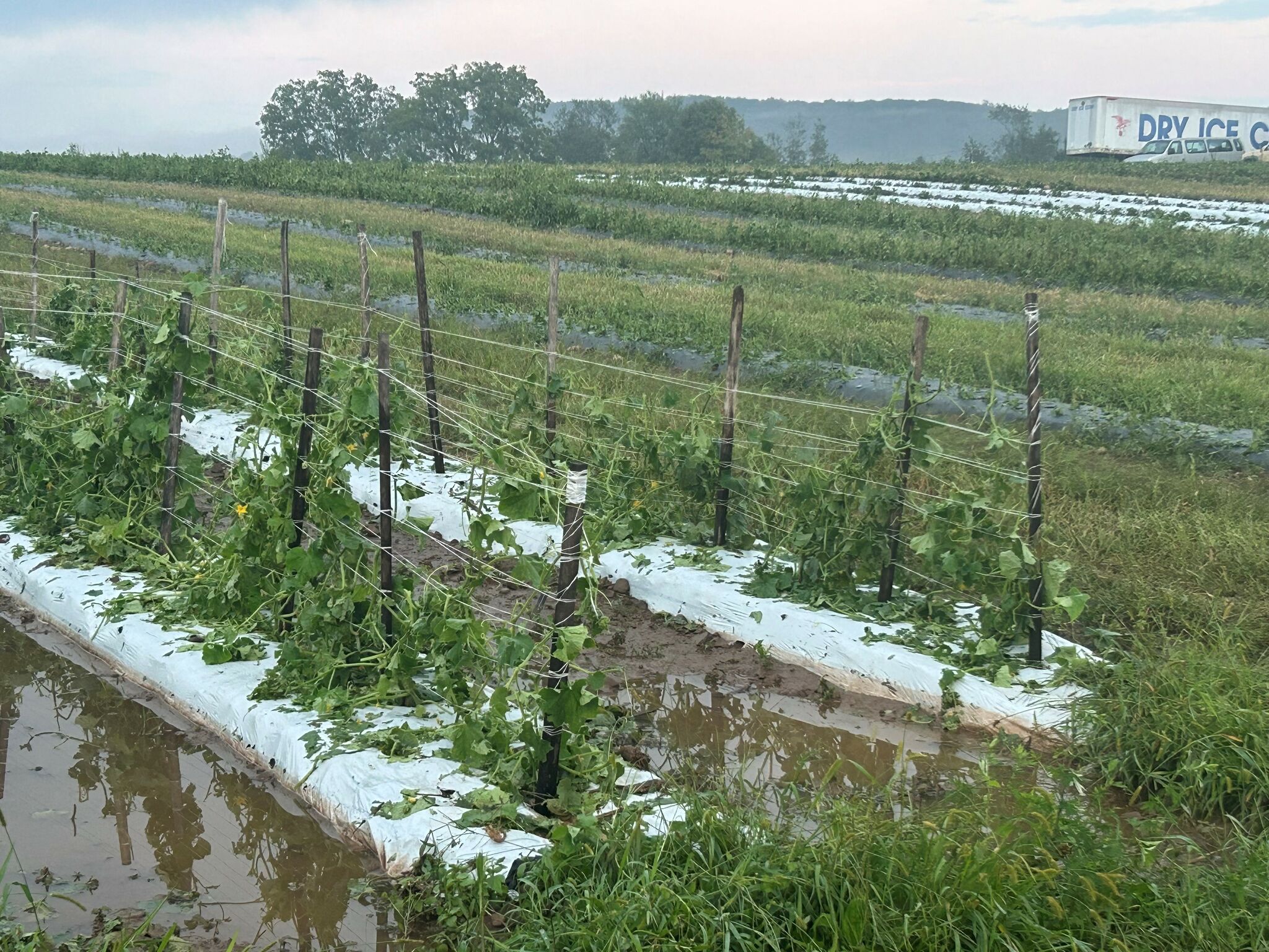CT farmer headed to Washington D.C. after farm decimated by hail
