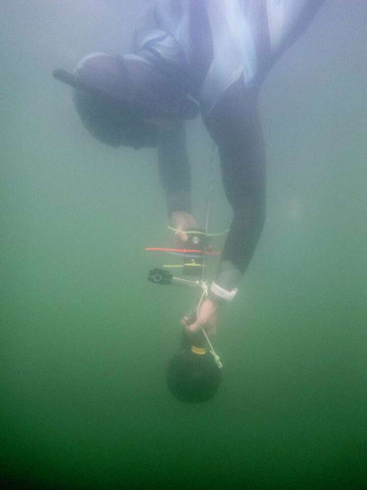What happened at California's first freediving competition