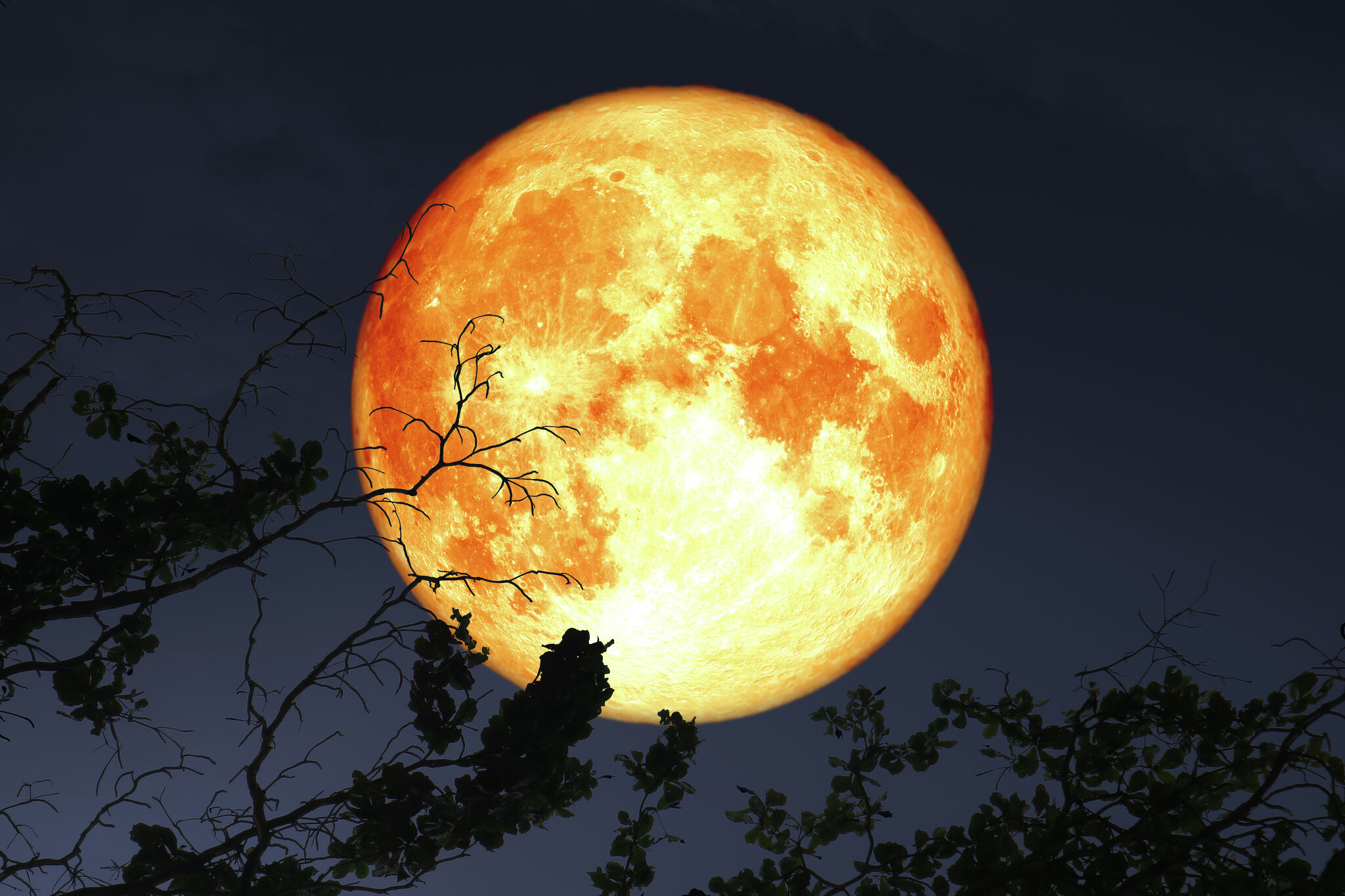 Harvest Moon and partial lunar eclipse to occur on September 17