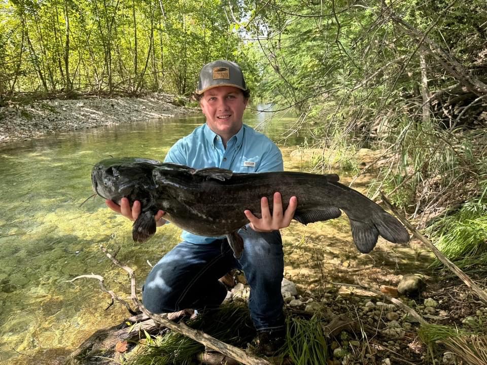 New record pending after Texas angler reels in massive catfish