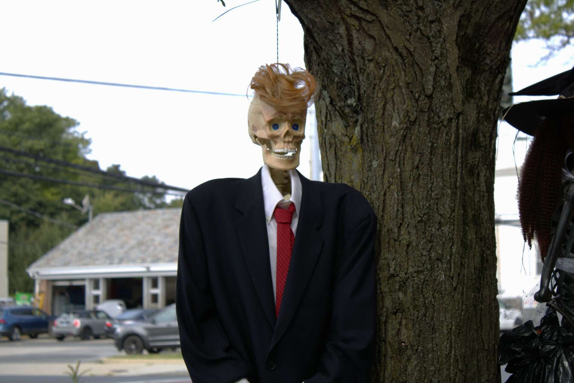 Owner: Trump skeleton in Old Greenwich is 'satire' for Halloween