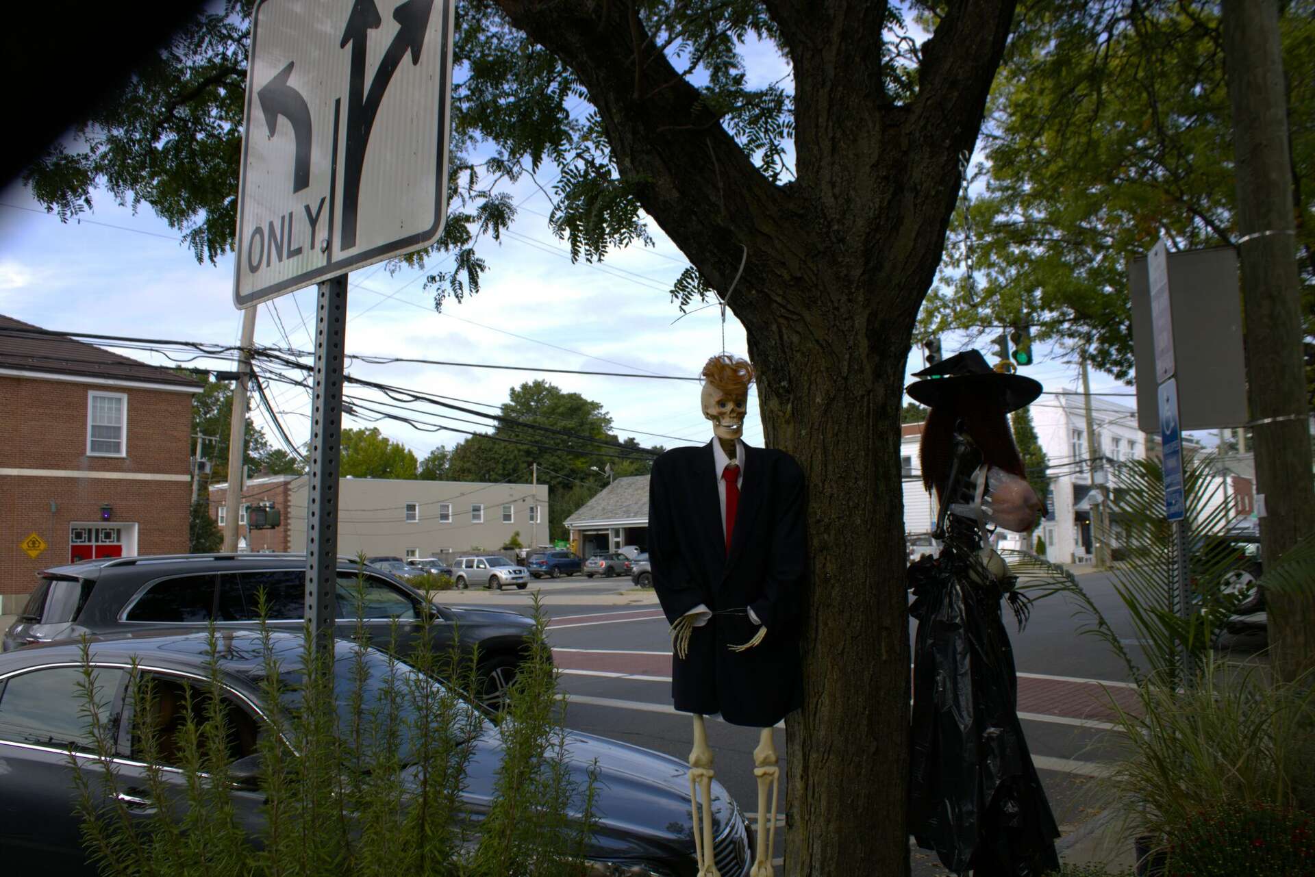 Owner: Trump skeleton in Old Greenwich is 'satire' for Halloween