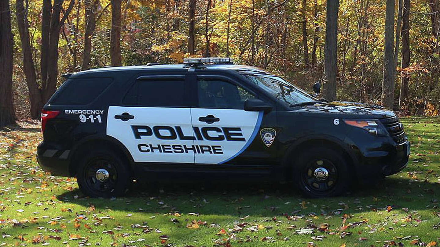 Man, 67, caught under fallen tree in Cheshire, police say