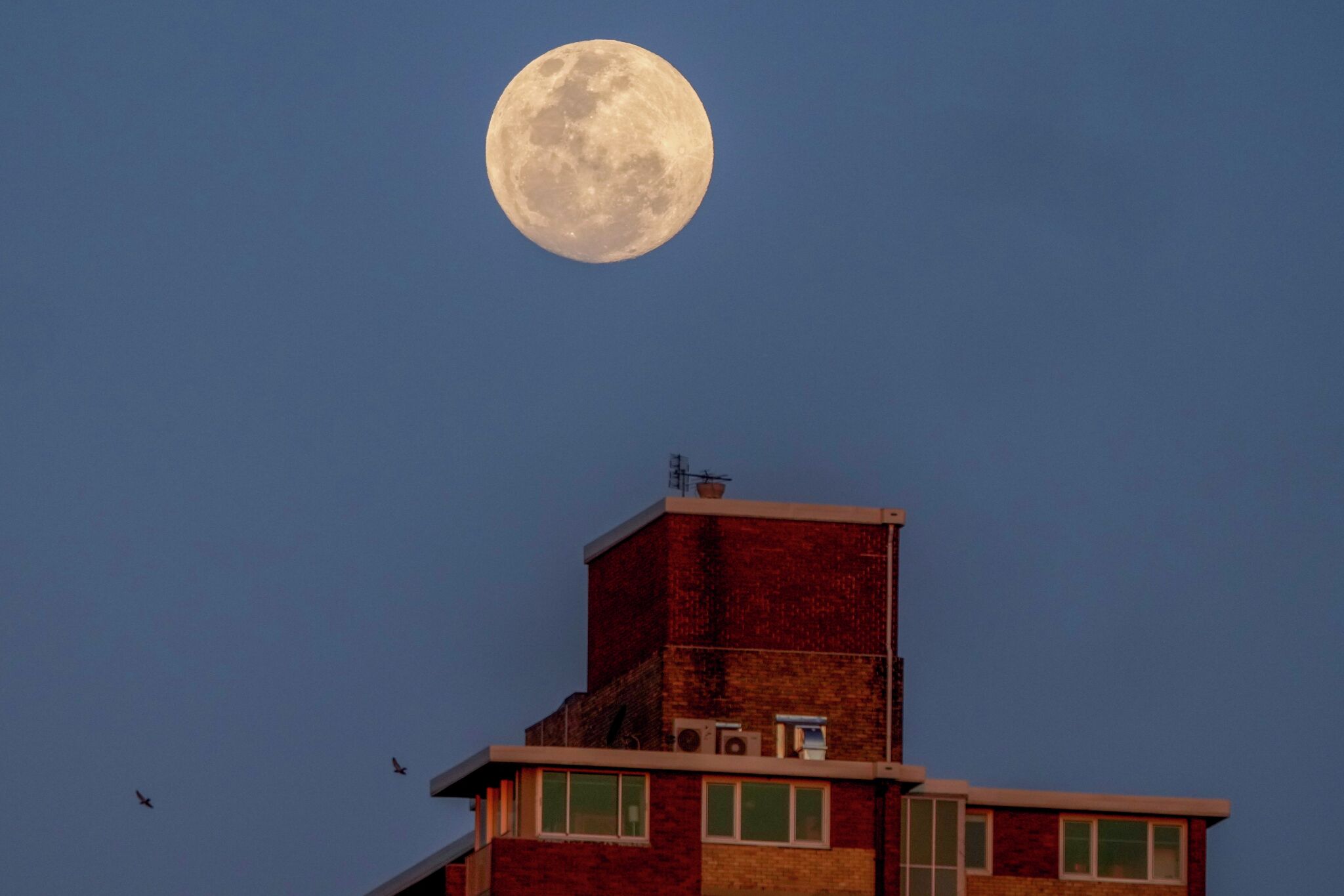 Will clouds in Houston ruin view of supermoon and lunar eclipse?