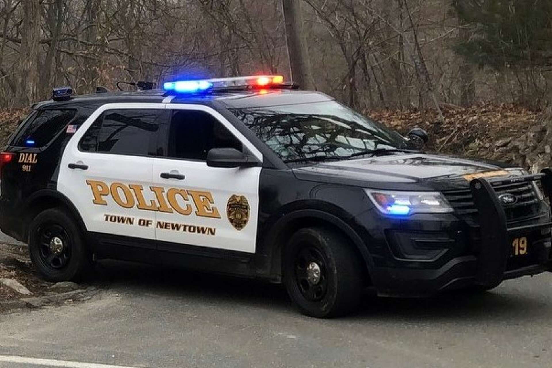 Newtown police seek driver in Main Street hit-and-run that killed dog