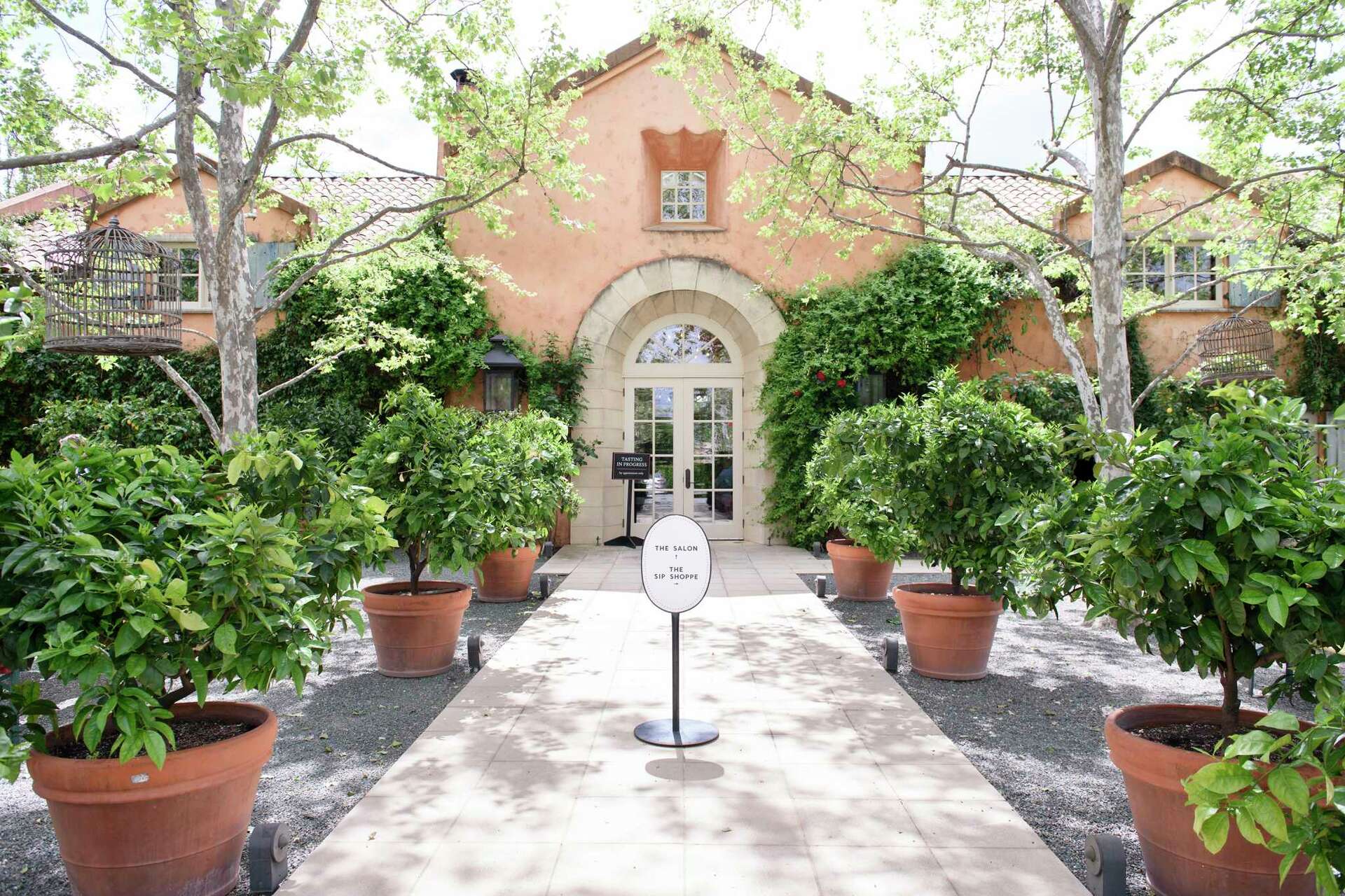 Bankrupt Vintage Wine Estates auctioned off most of its wineries