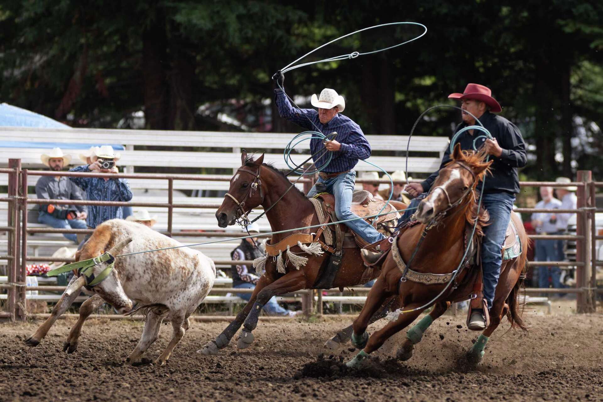 Gay rodeos in North Bay town more than pink hats, pants-less chaps