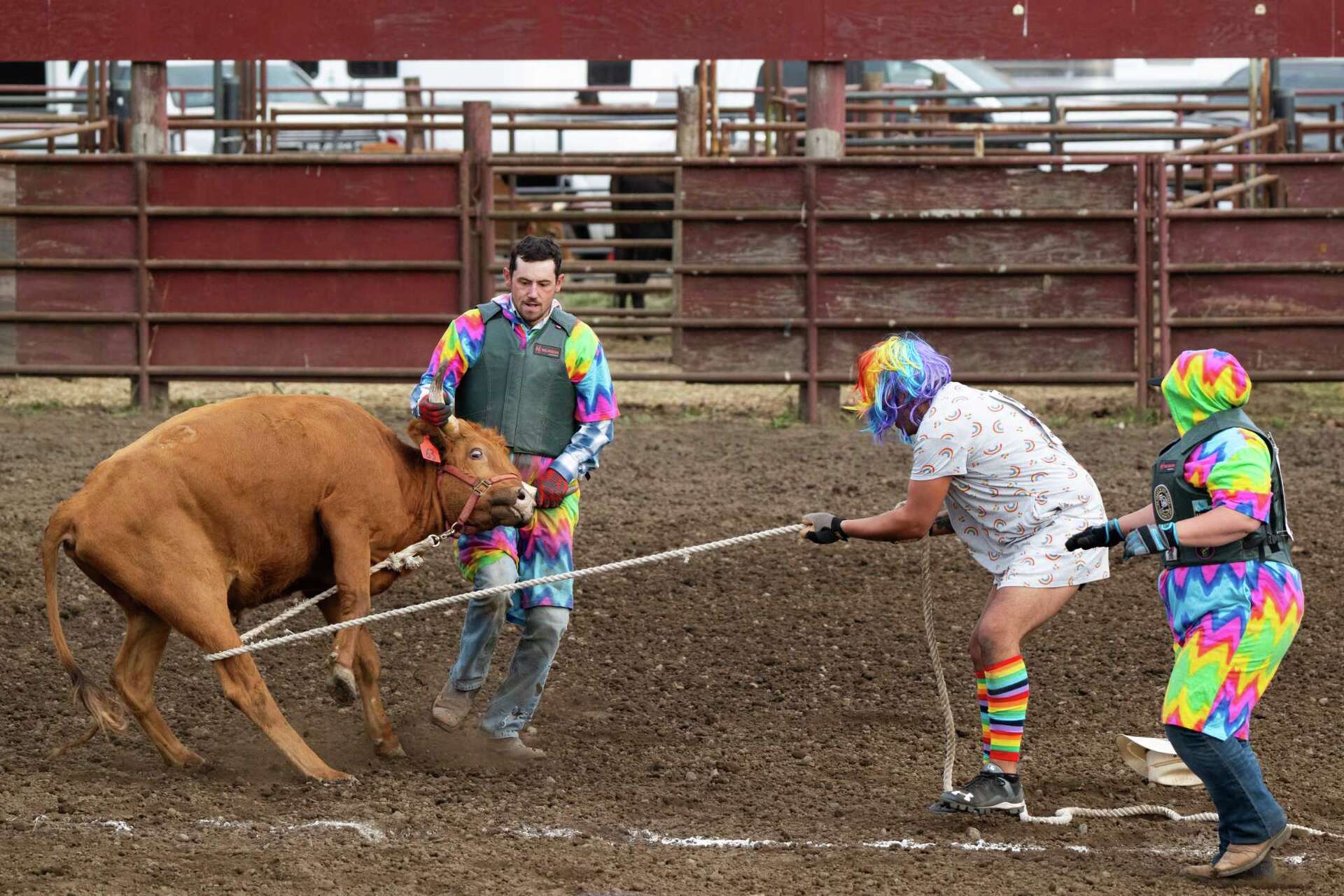 Gay rodeos in North Bay town more than pink hats, pants-less chaps