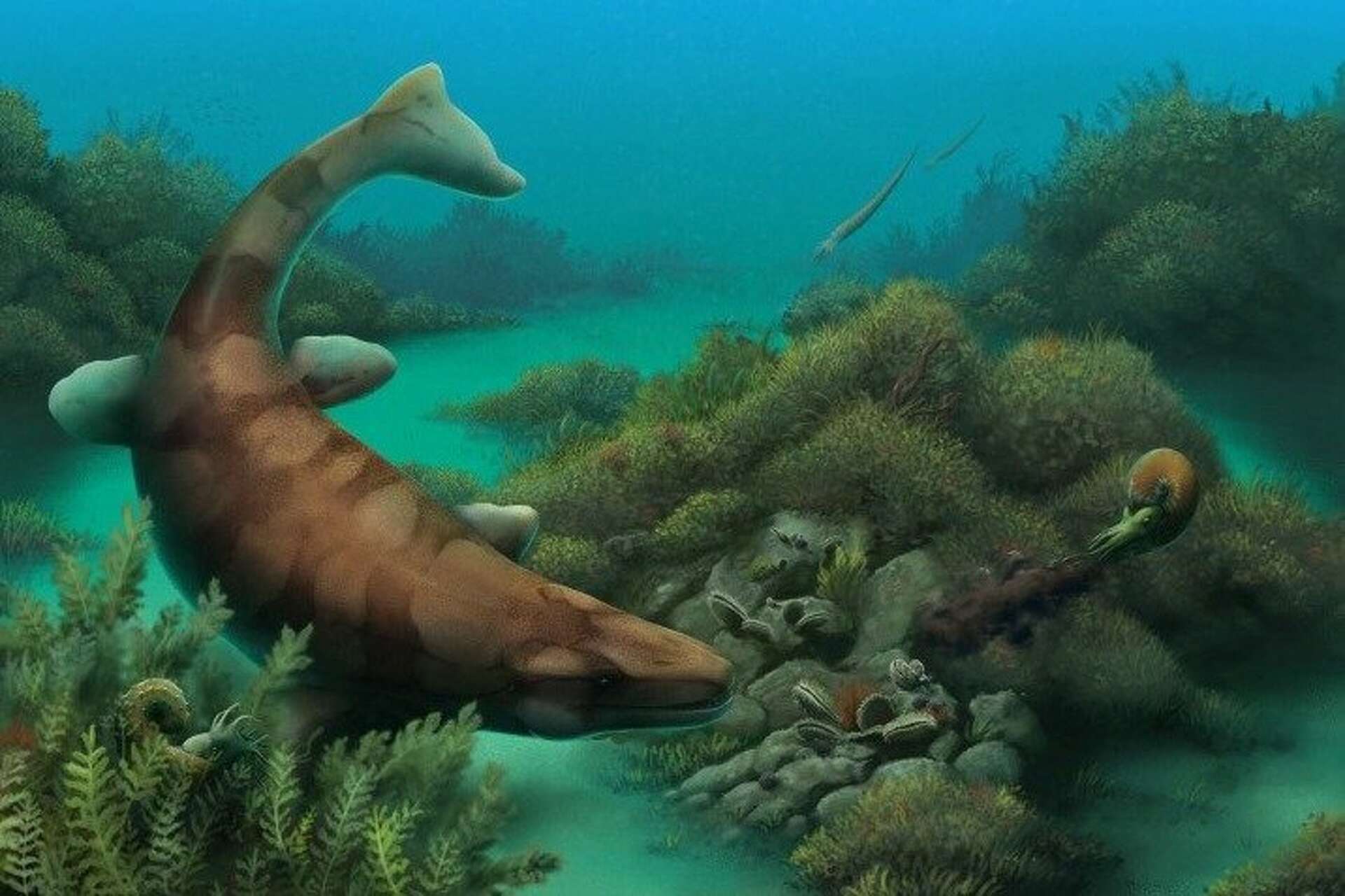 Rare bones of ancient sea monster found in Texas