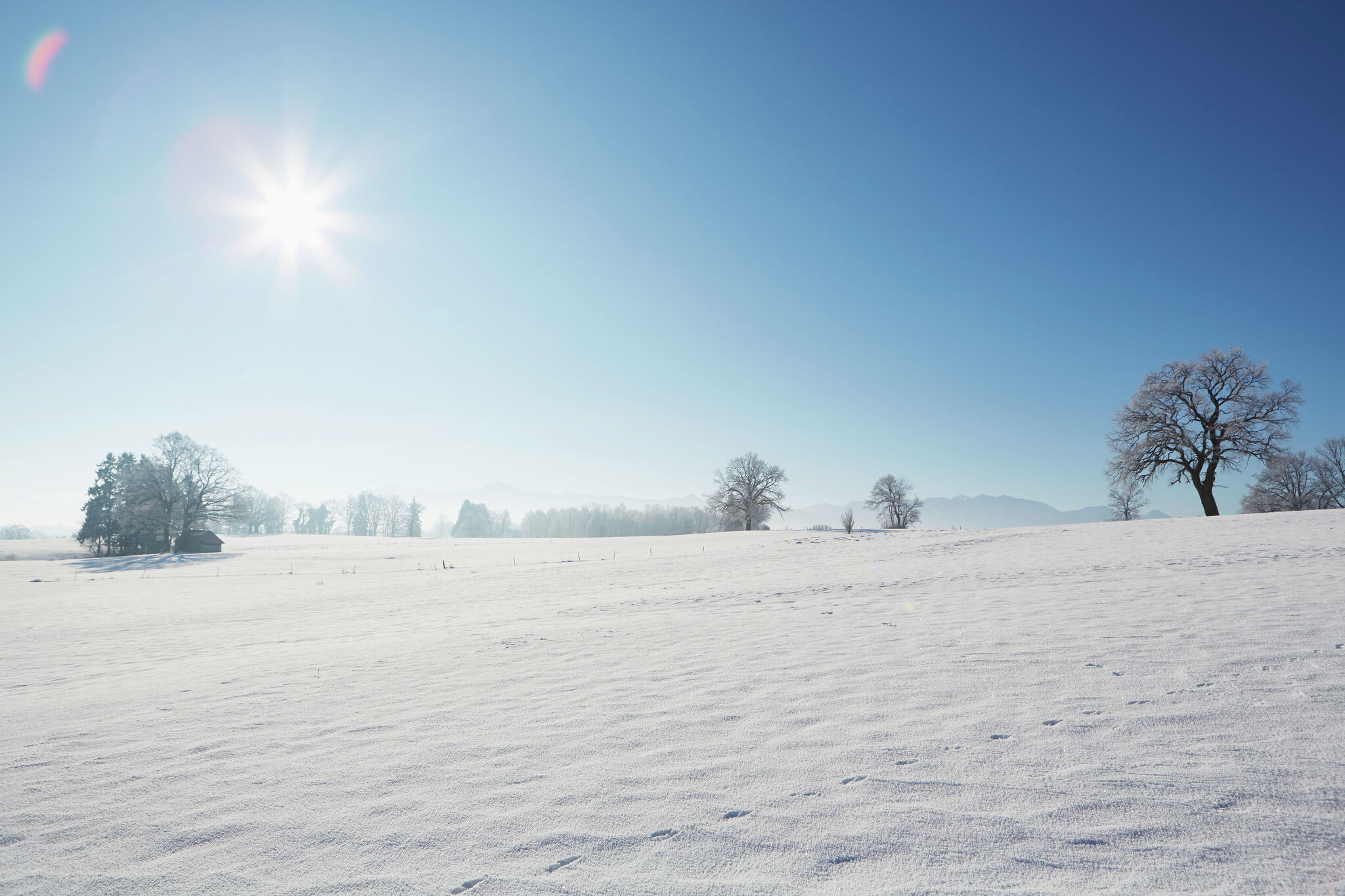 Farmers’ Almanacs offer differing winter outlooks for 2024-25 season
