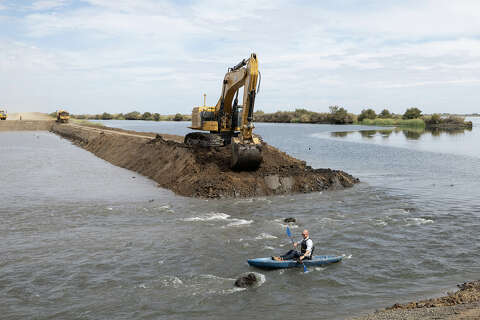 Levee demolished in California's 'largest tidal habitat restoration'