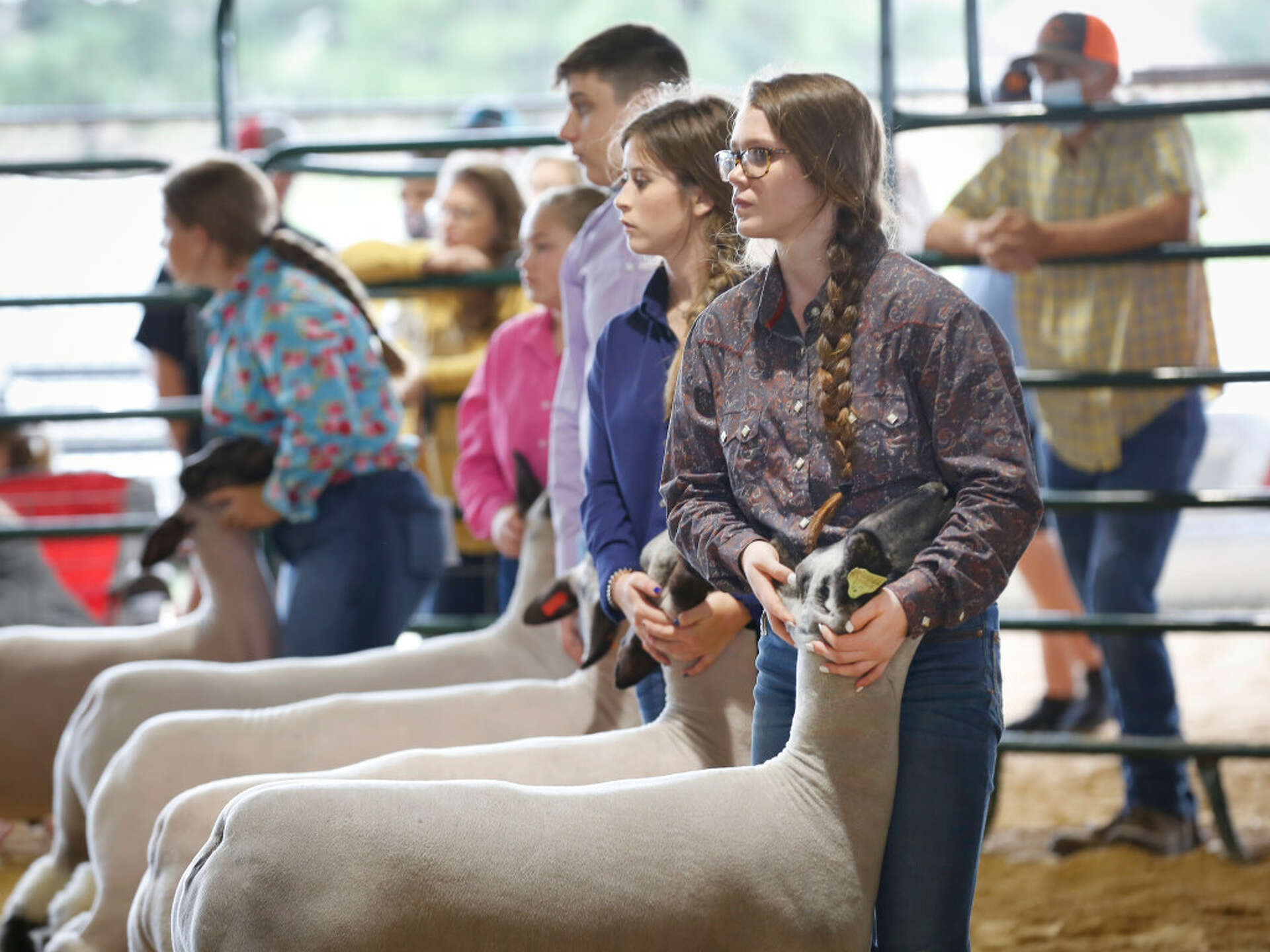 Concerts and events at the 2024 Pasadena Livestock Show and Rodeo