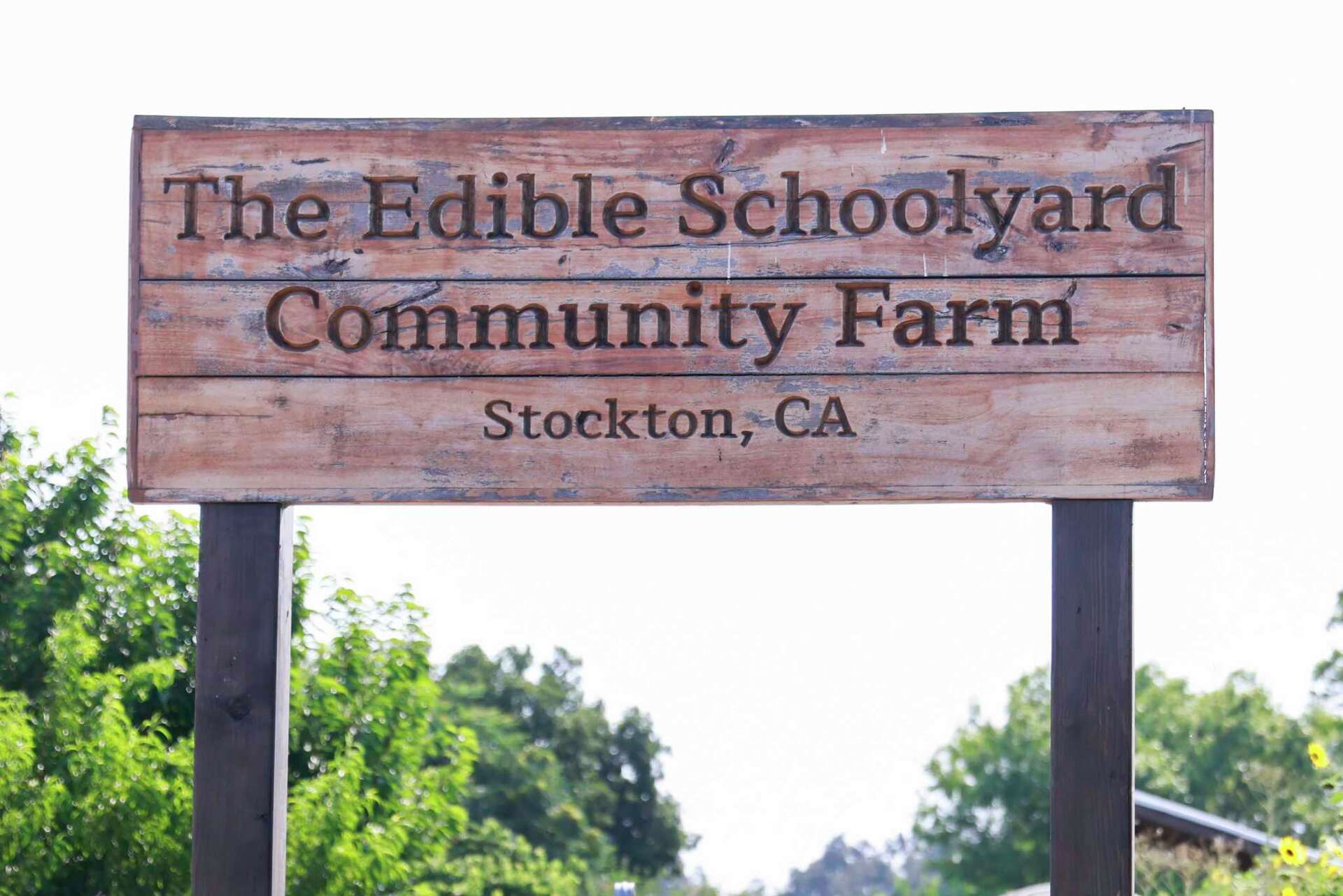 Insiders say one of Bay Area's most famous nonprofits is in ‘chaos'