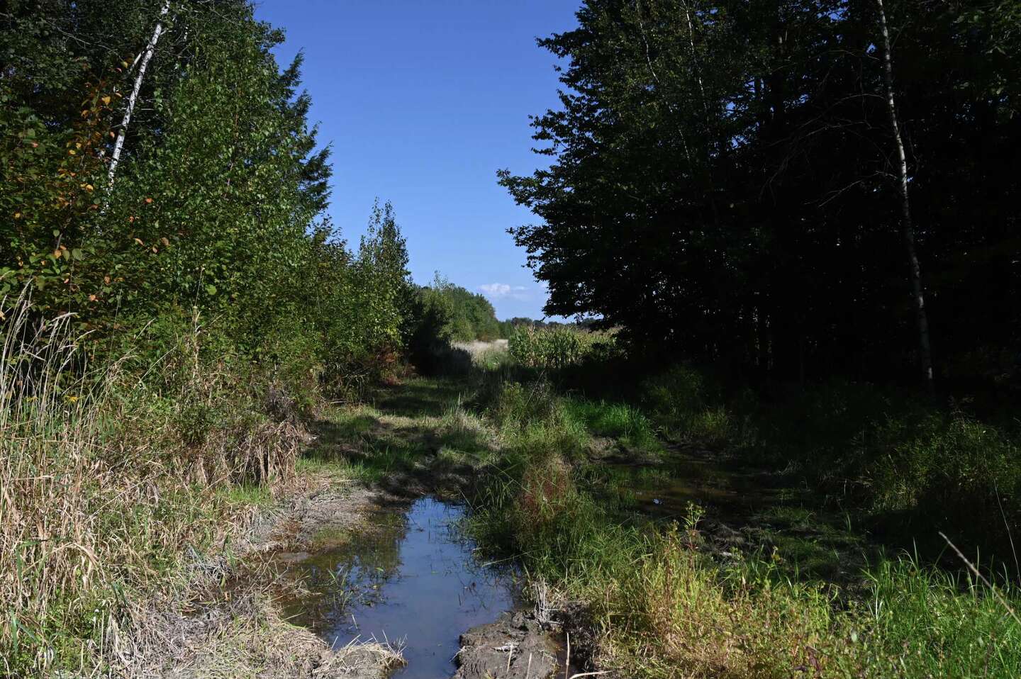 For another year, border crossings overwhelm New York's rural north