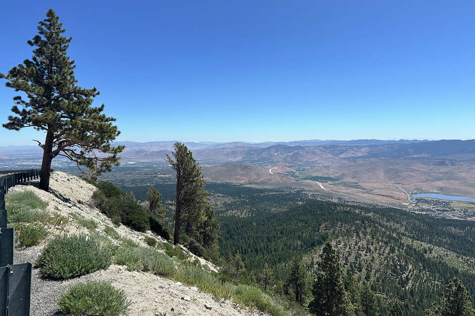 Murder on Slide Mountain