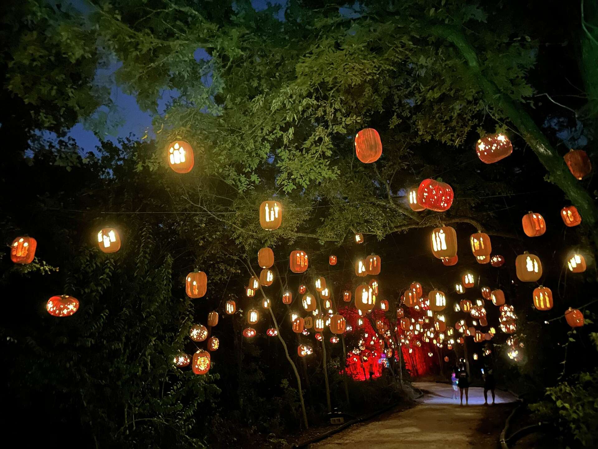 Immersive Halloween exhibit Pumpkin Nights arrives in Texas