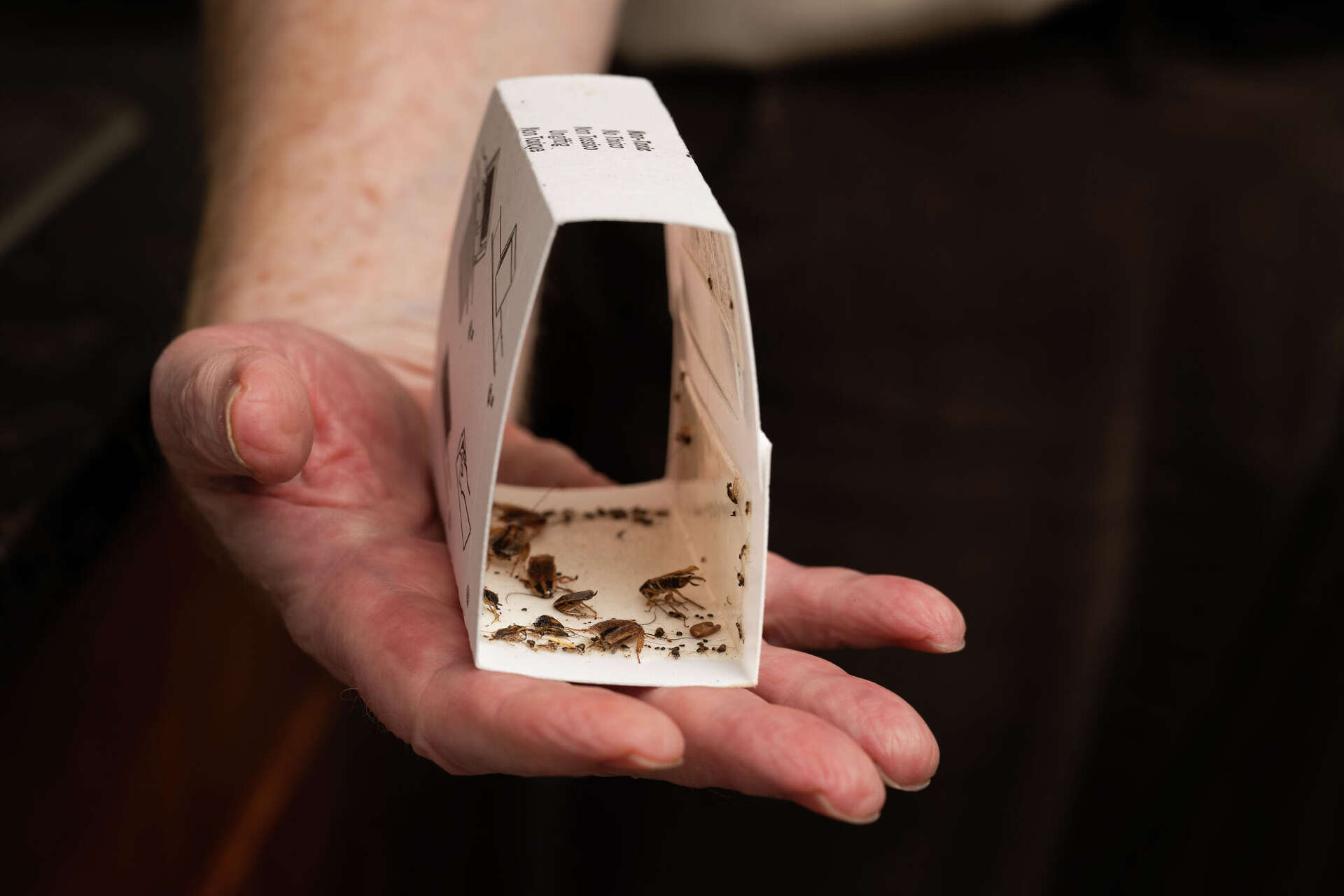 Roach infestation at Berkeley senior home sparks finger pointing