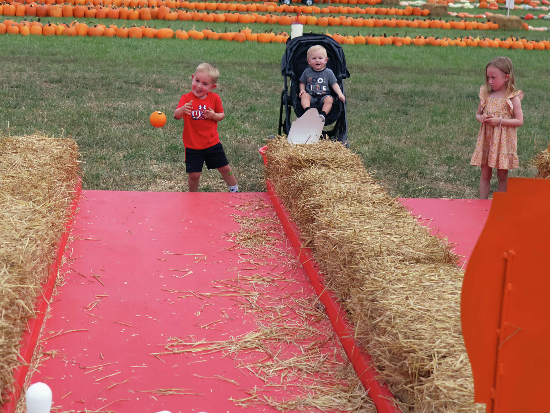 Rinkel Pumpkin Farm opens for 2024 season in Glen Carbon IL