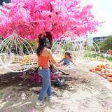 ABC13 anchor Jacob Rascon leaving the station