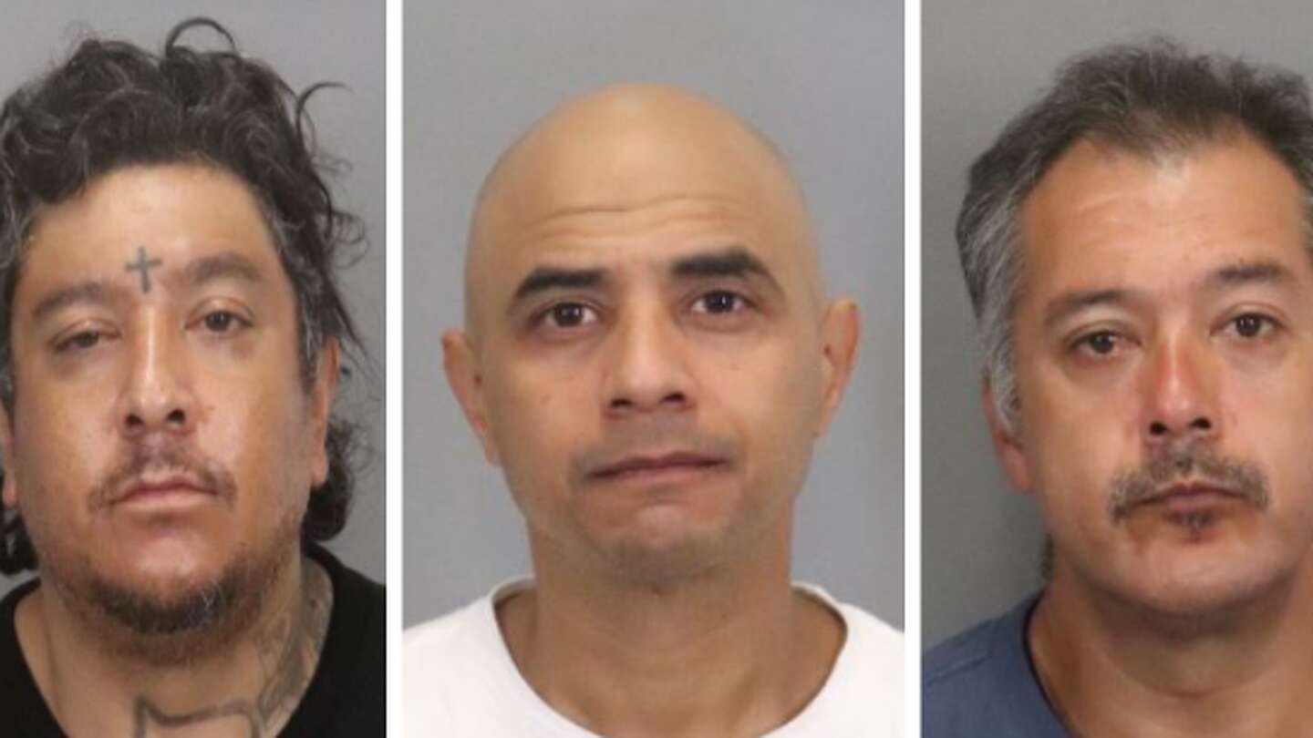 Three arrested in grisly Bay Area machete attack caught on video