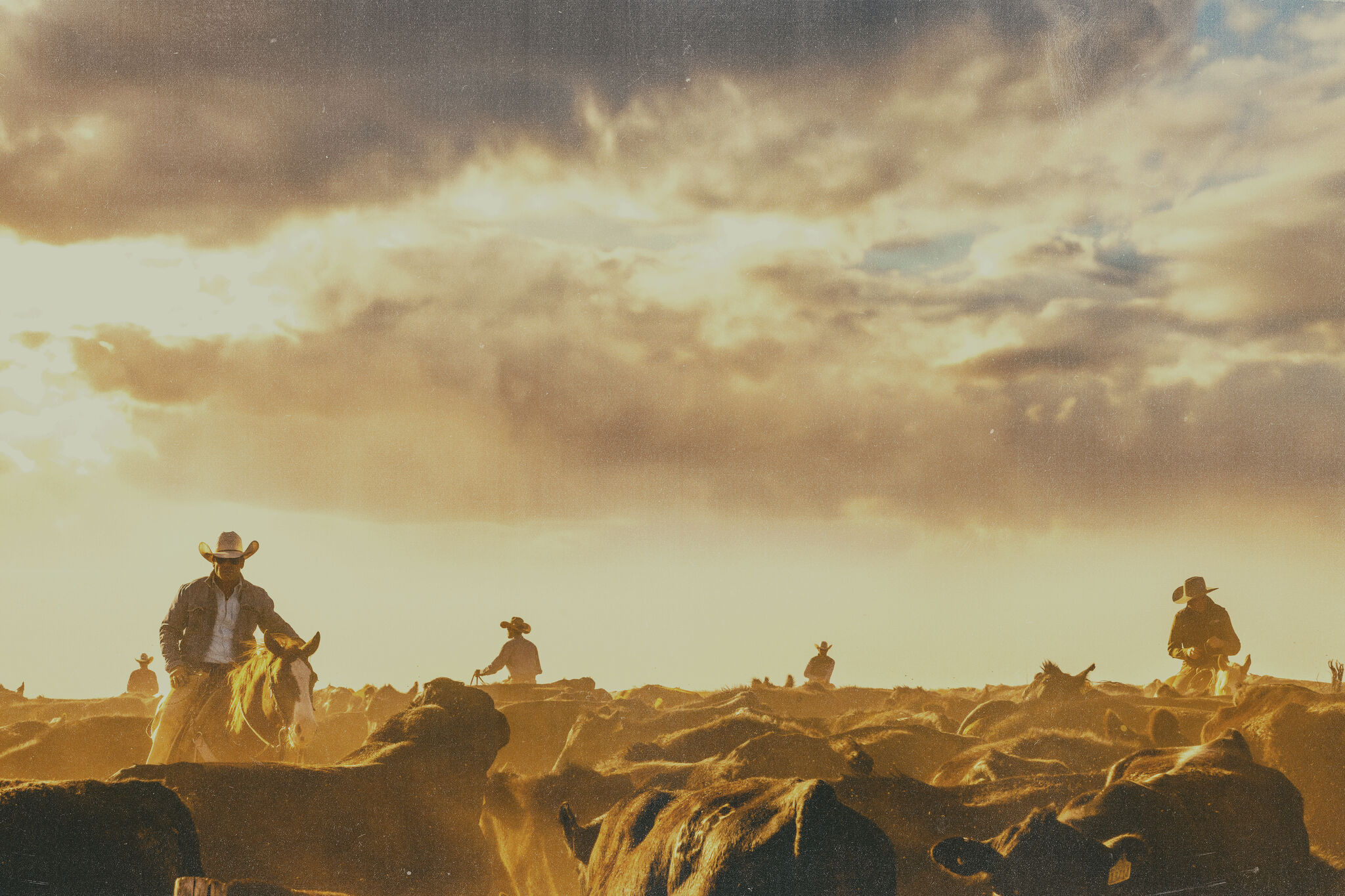 Where are the largest ranches in Texas?