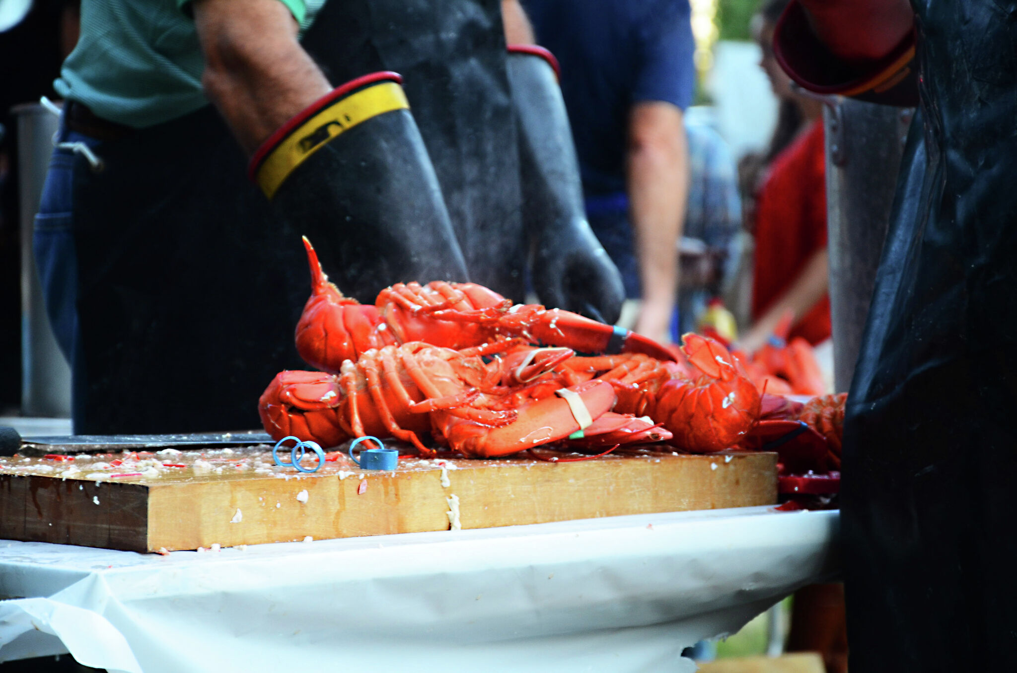 New Canaan's Waveny Park will host LobsterFest, arts festival, more