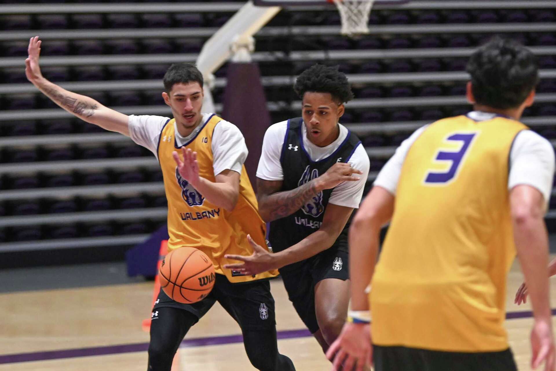 UAlbany Great Danes