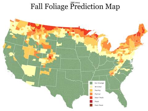 When will leaves change colors across Texas? Here’s a timeline.