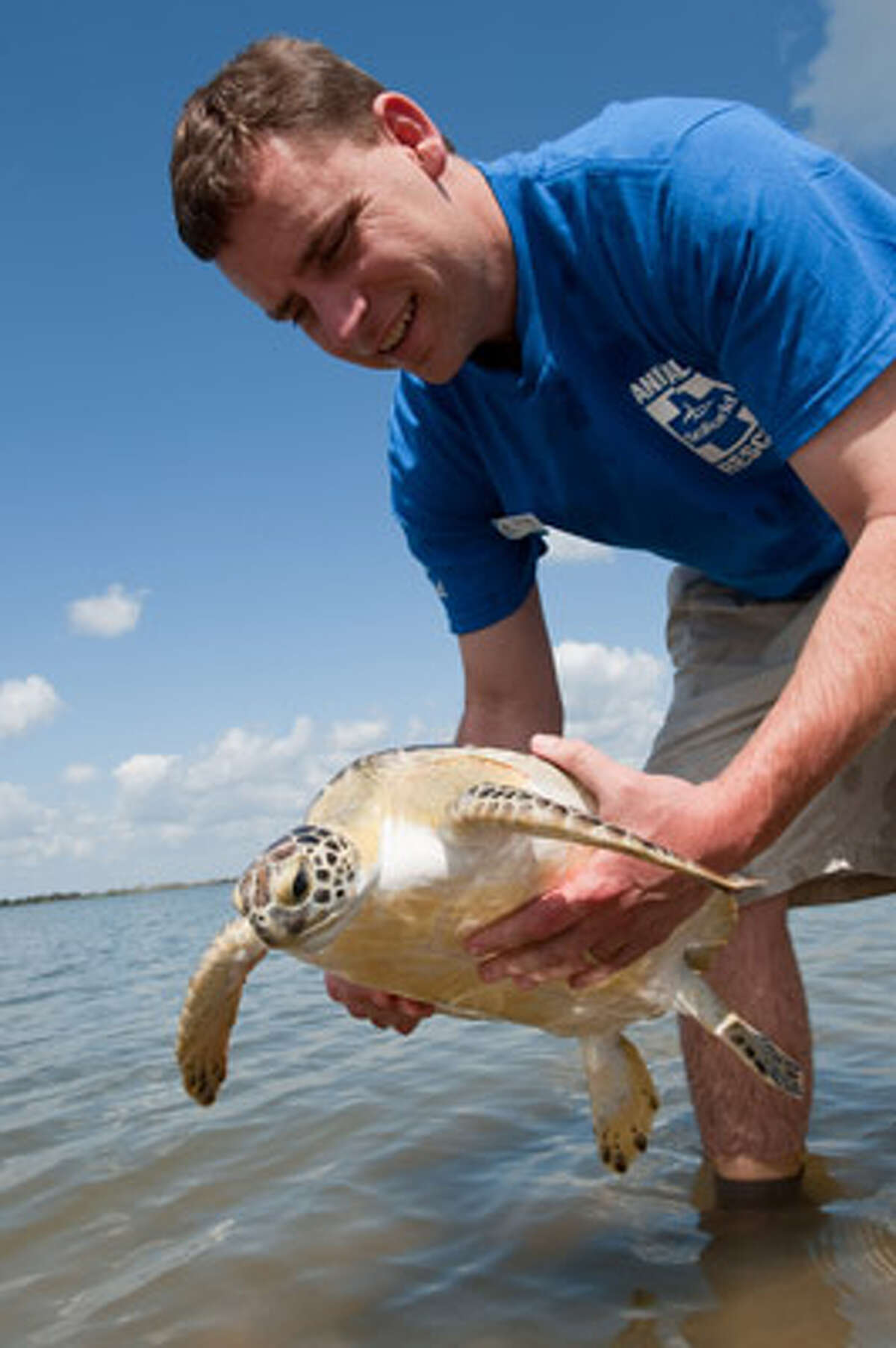 SeaWorld Orlando releases 2 endangered green sea turtles
