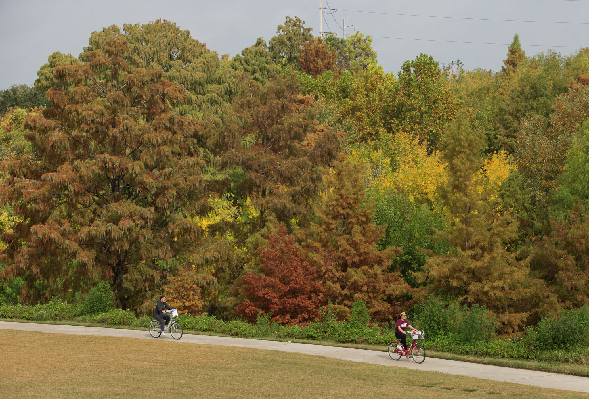 Here's a timeline of when leaves start changing colors in Texas