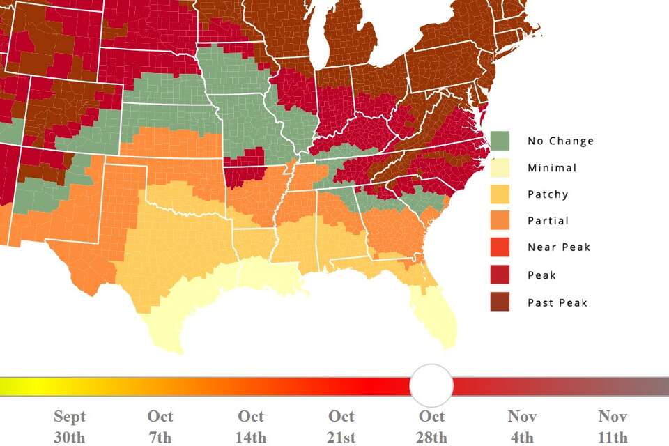 Here's a timeline of when leaves start changing colors in Texas