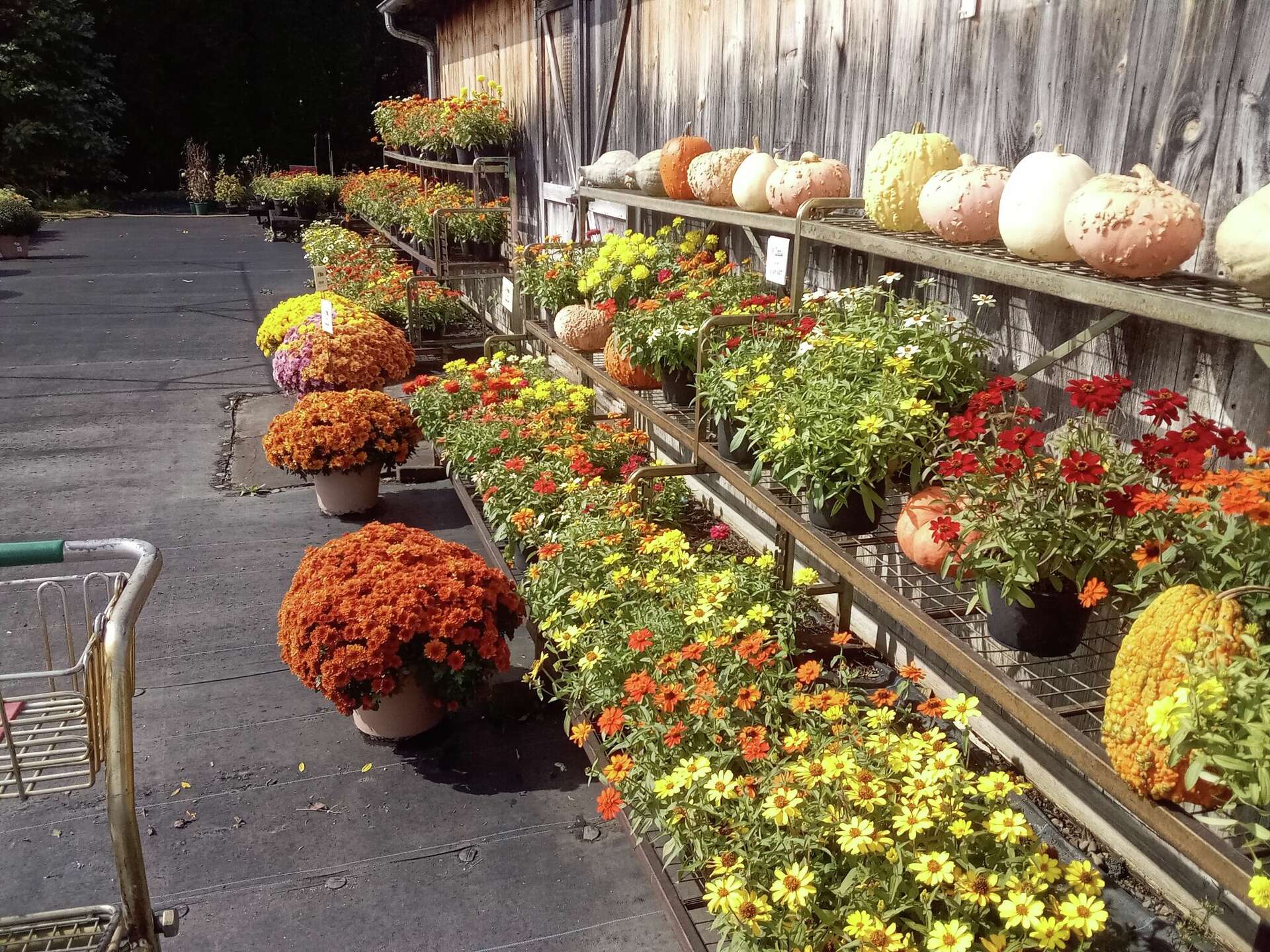 Sharon farmland, thought to be protected, is site of a new luxury home