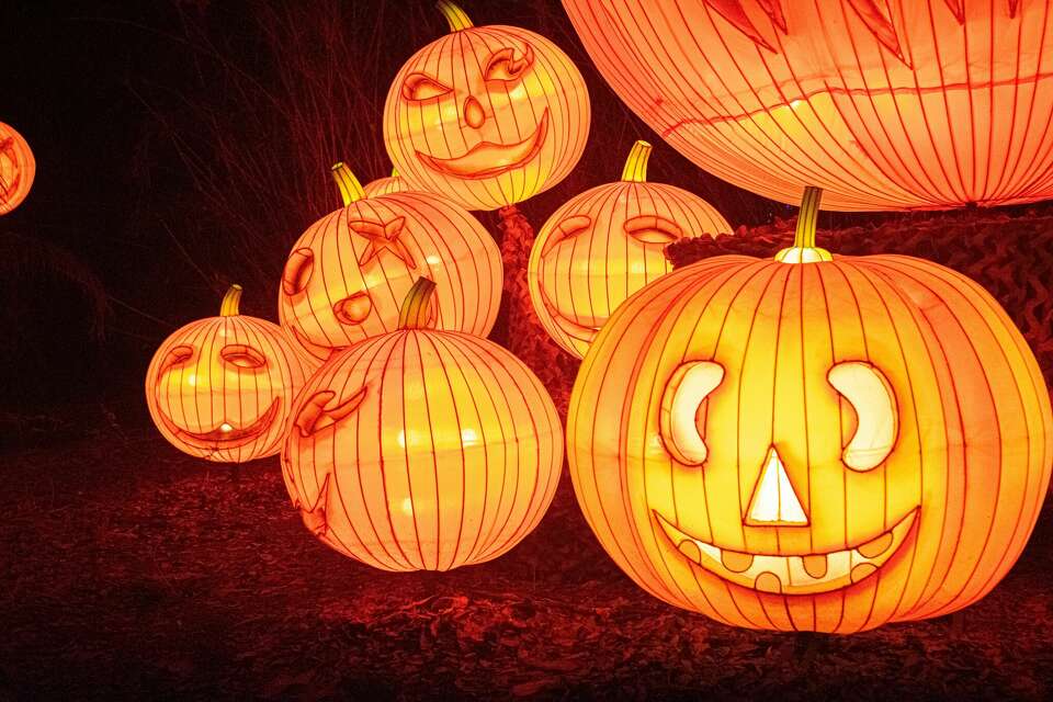 Zoo Boo at the Houston Zoo: Halloween fun and new attractions