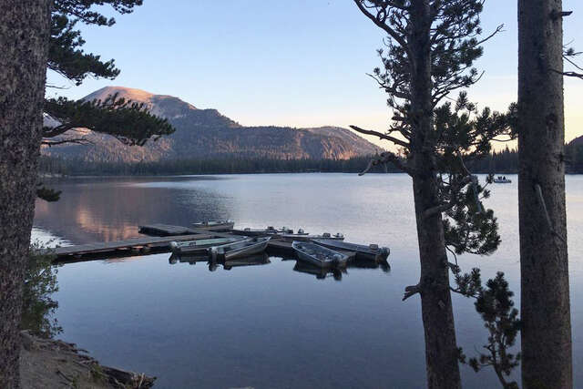 Tragic death of a bear shakes small Calif. mountain town to its core