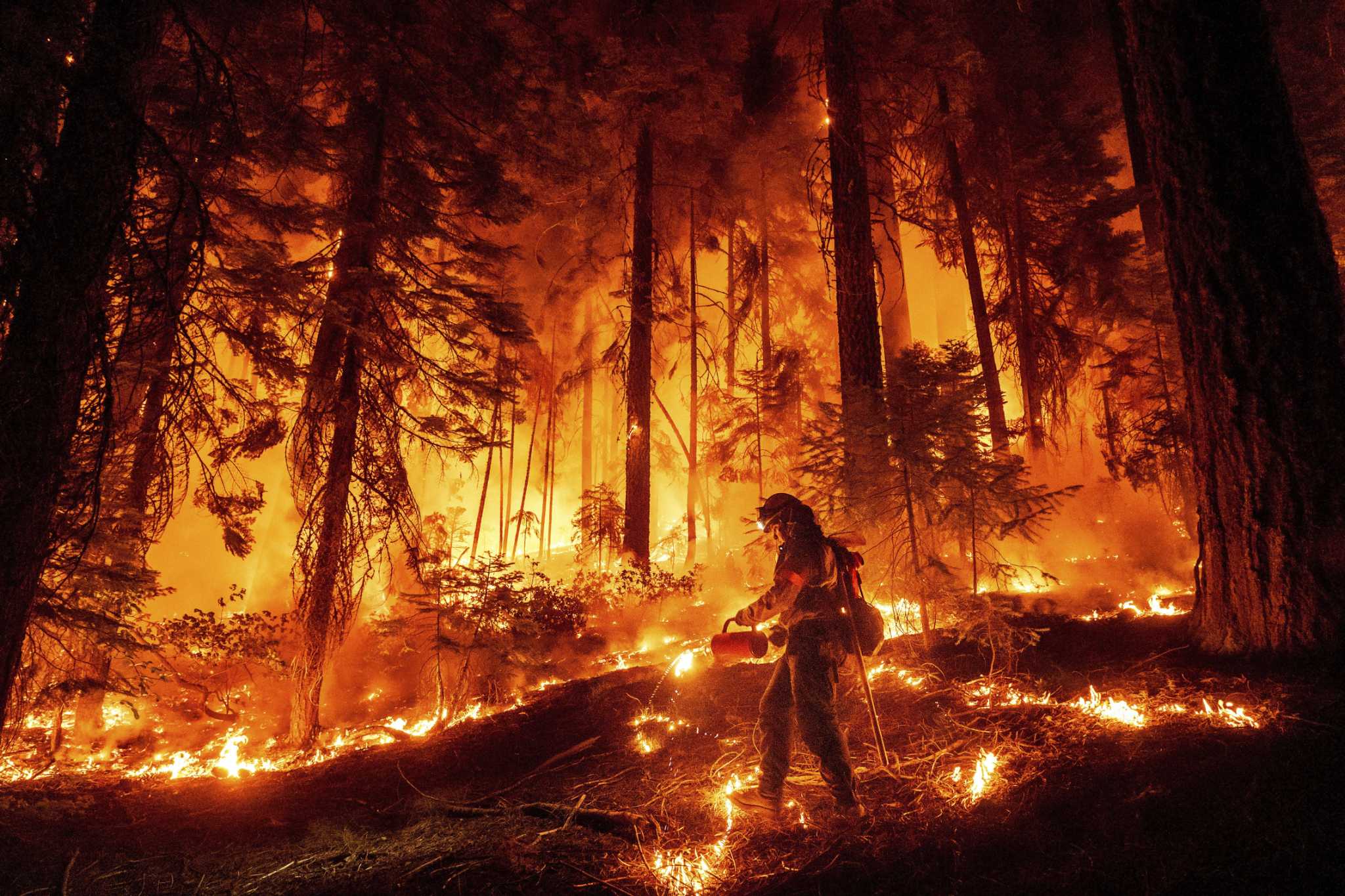 California wildfires have burned over a million acres in 2024