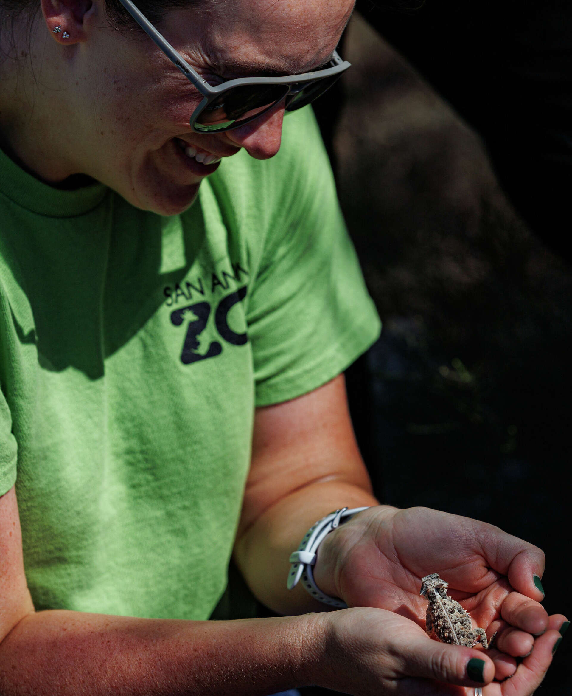 S.A. Zoo helping save Texas' state reptile, the horned lizard