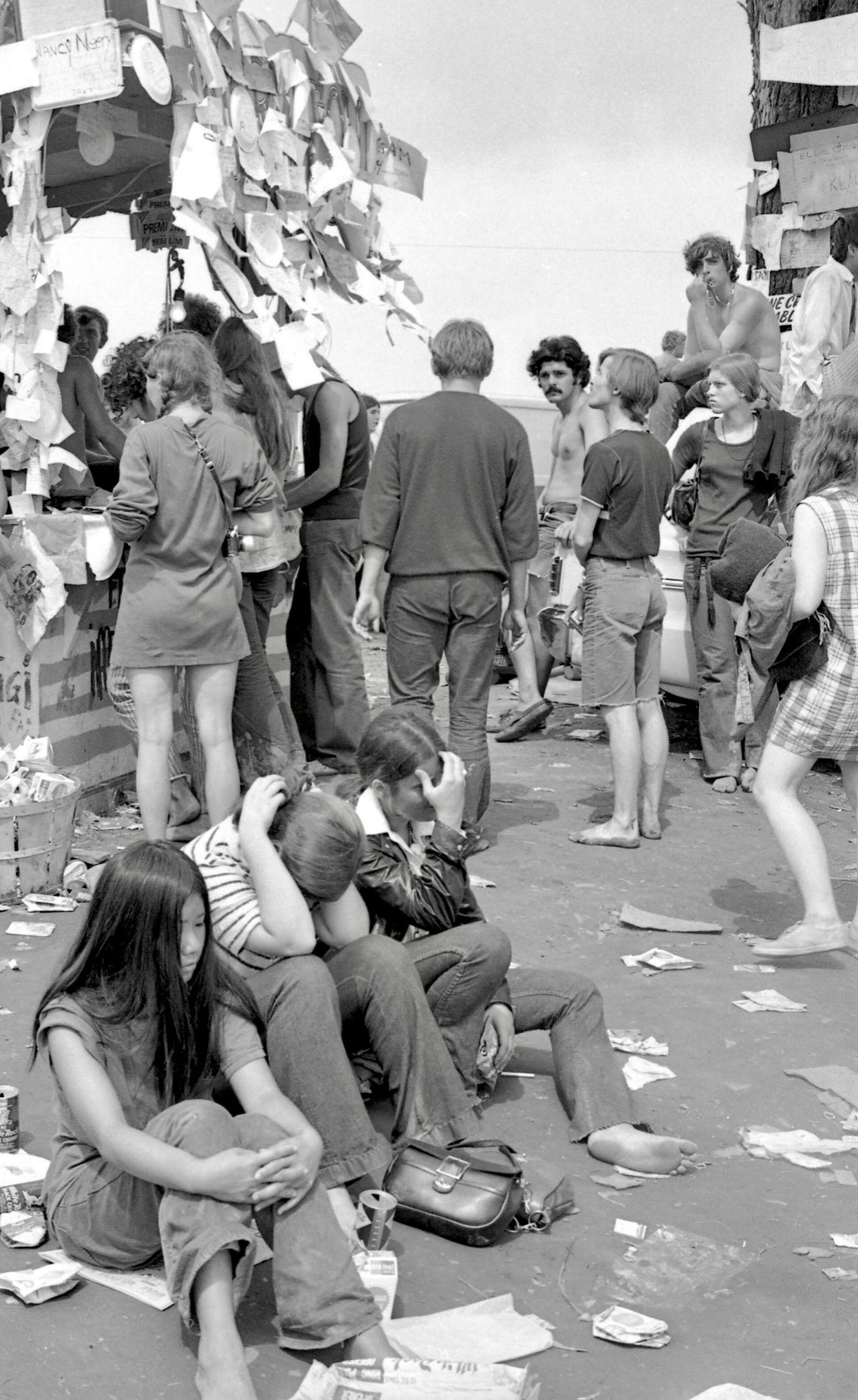 Historic 'Message Tree' at Woodstock '69 concert site cut down