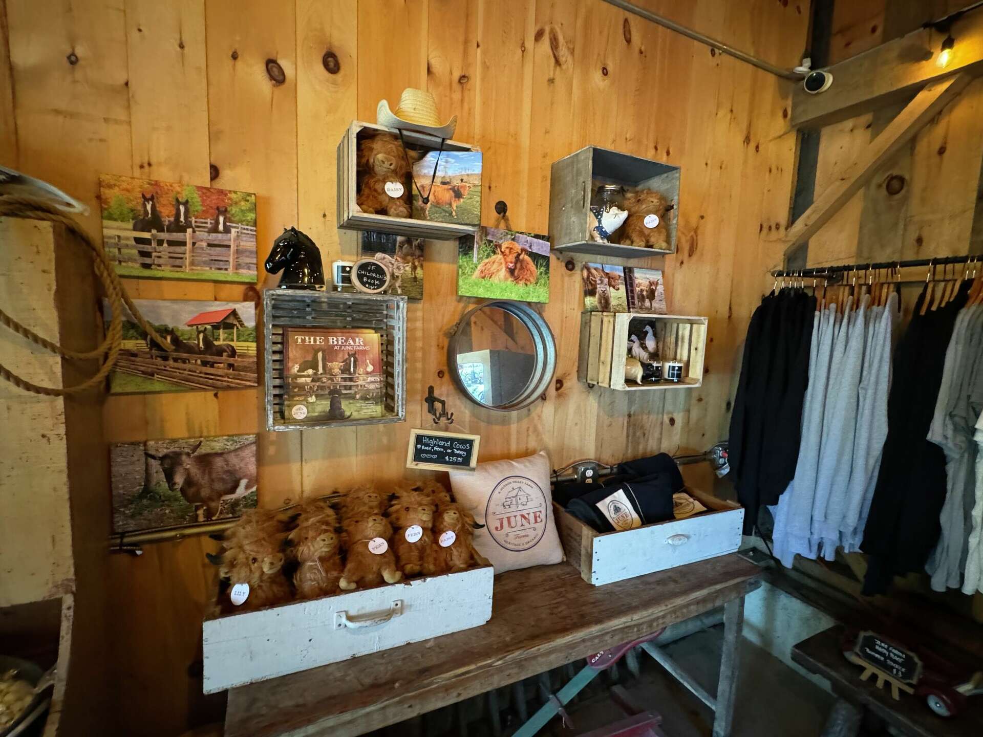 Matt Baumgartner and his mom co-author 'The Bear at June Farms'