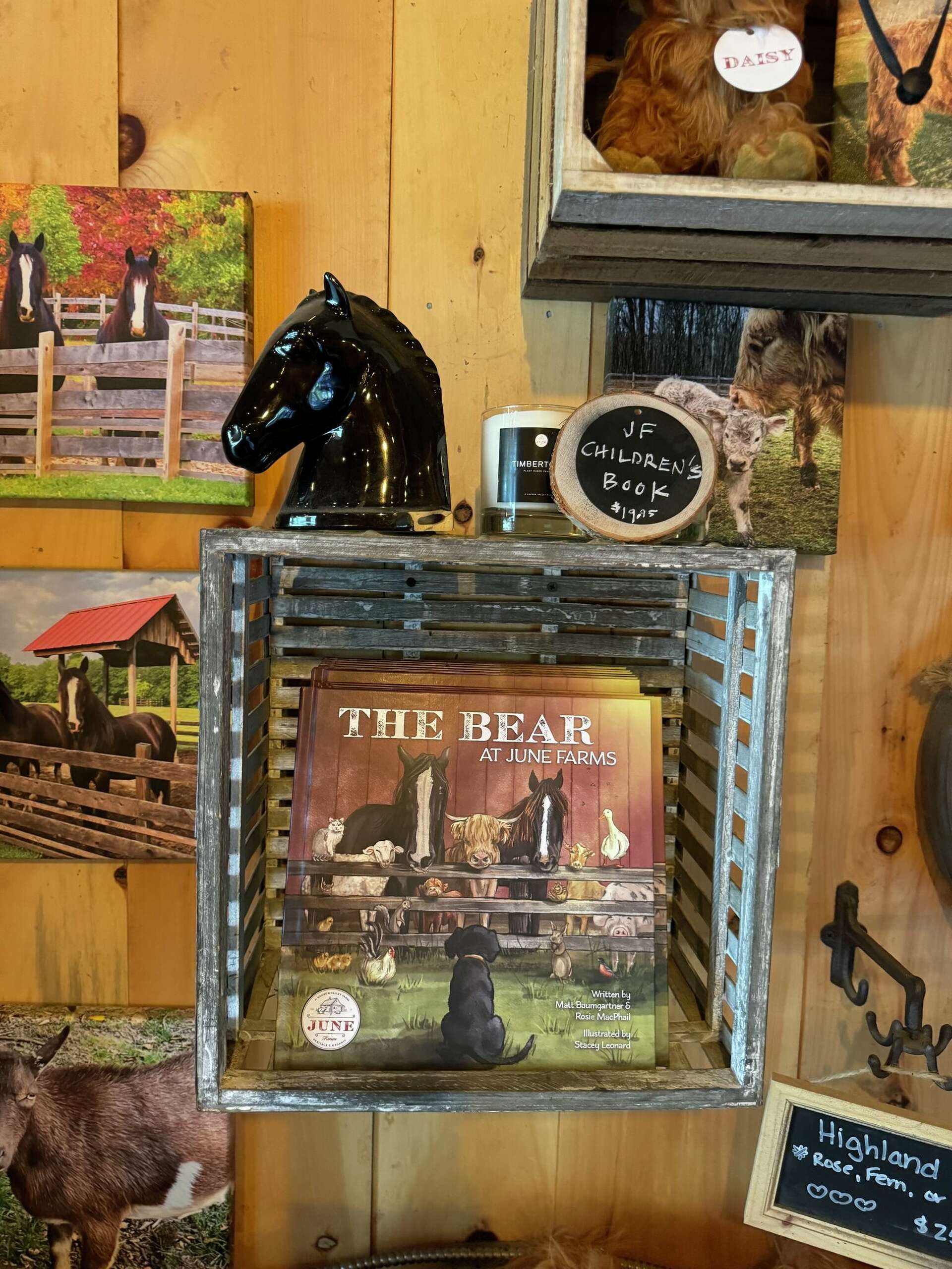 Matt Baumgartner and his mom co-author 'The Bear at June Farms'