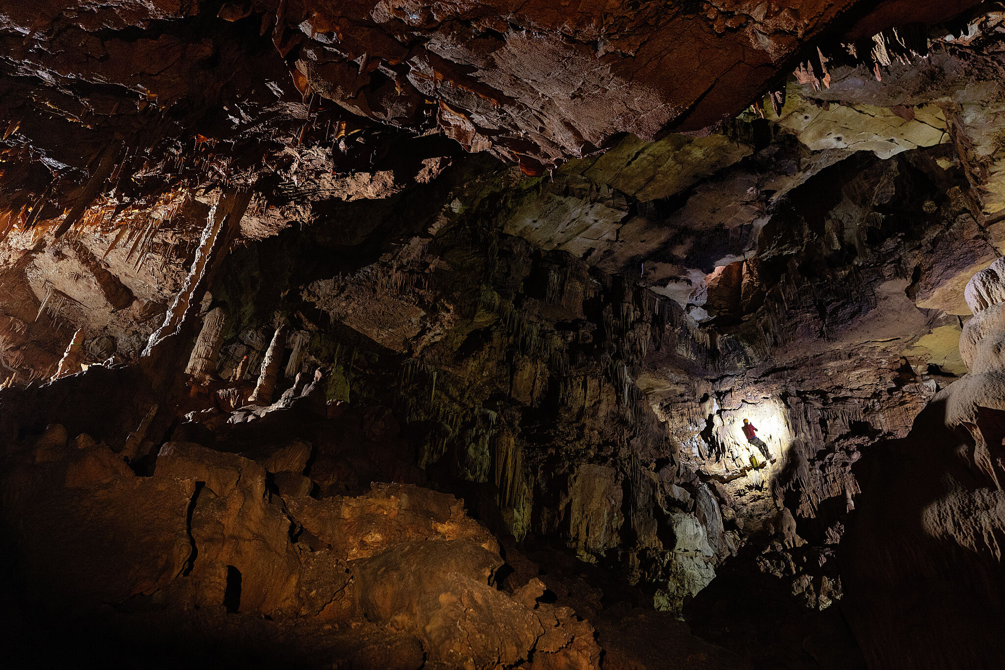 Conservation deal leads to discovery of rare Hill Country cave