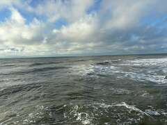 Gulf currents brought shockingly clear water to Galveston this week