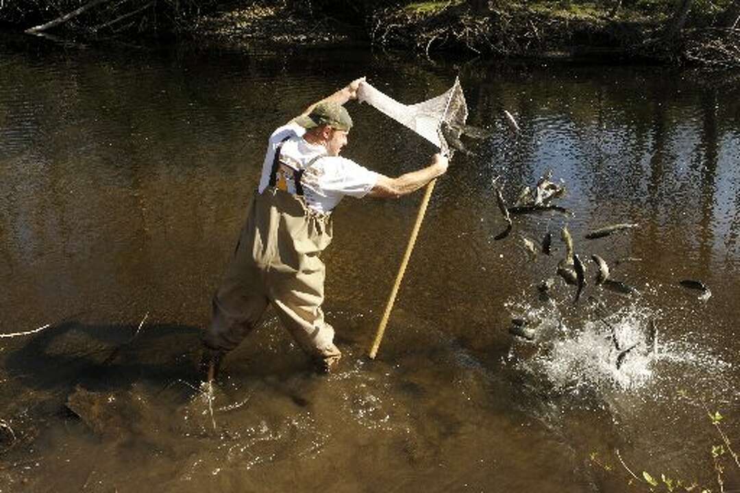 CT fish stocking this fall includes trout, salmon and catfish